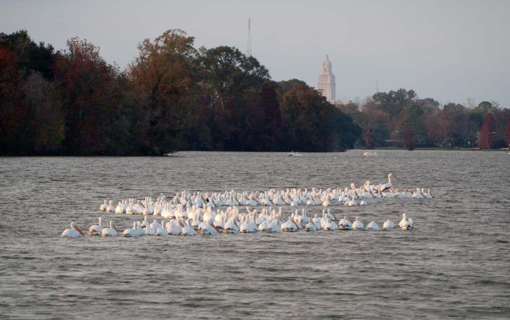 State, city, LSU, BREC get behind $50M+ plan to restore, enhance Baton ...