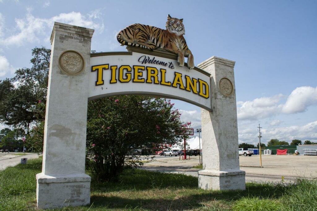 LSU grad proposes infrastructure upgrades to make Tigerland safer