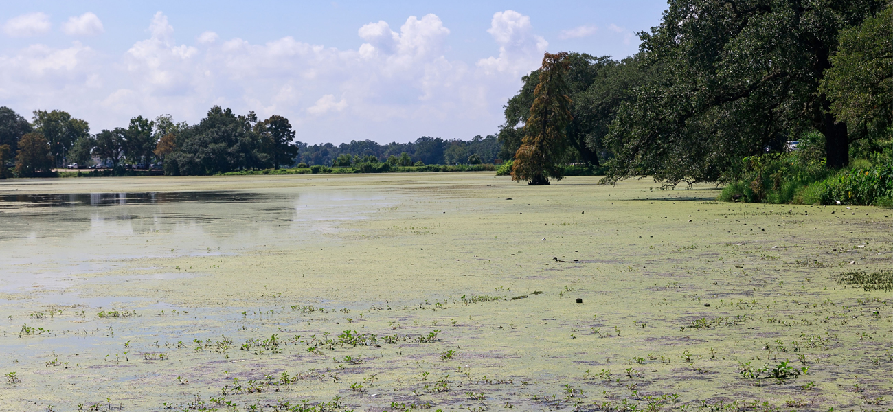 Updated timeline on lakes project as preliminary work progresses