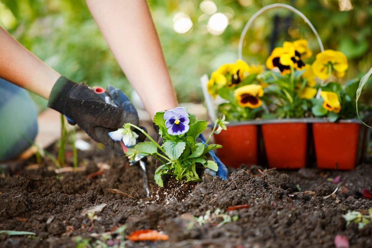 A backyard native plant nursery is relocating near Florida Boulevard