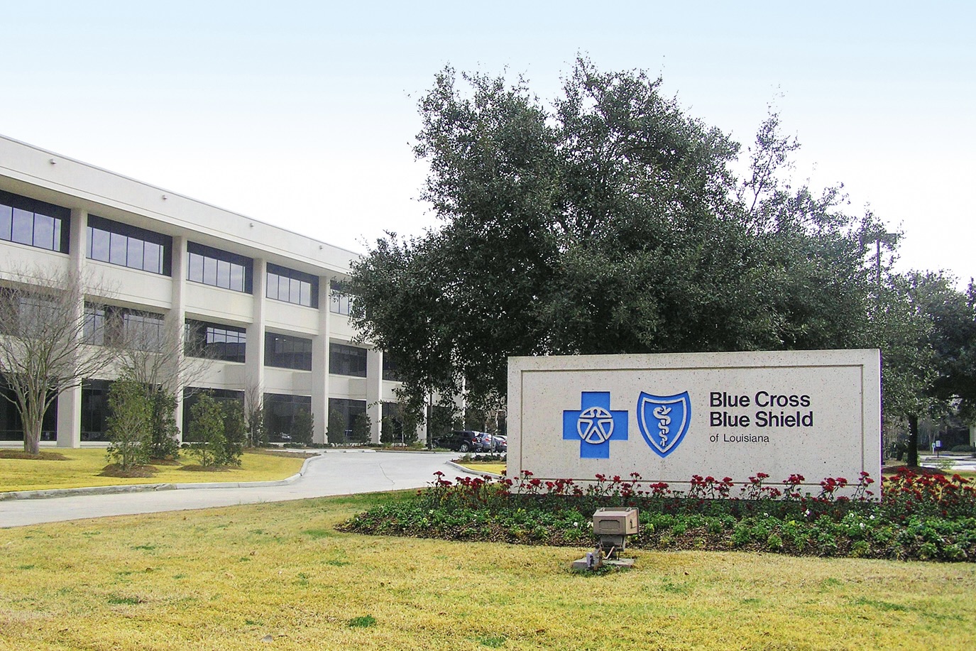 What you need to know about the Blue Cross hearing this week