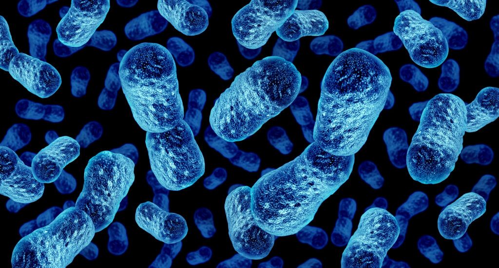 Health Tip of the Week, sponsored by Baton Rouge General: Gut bacteria ...